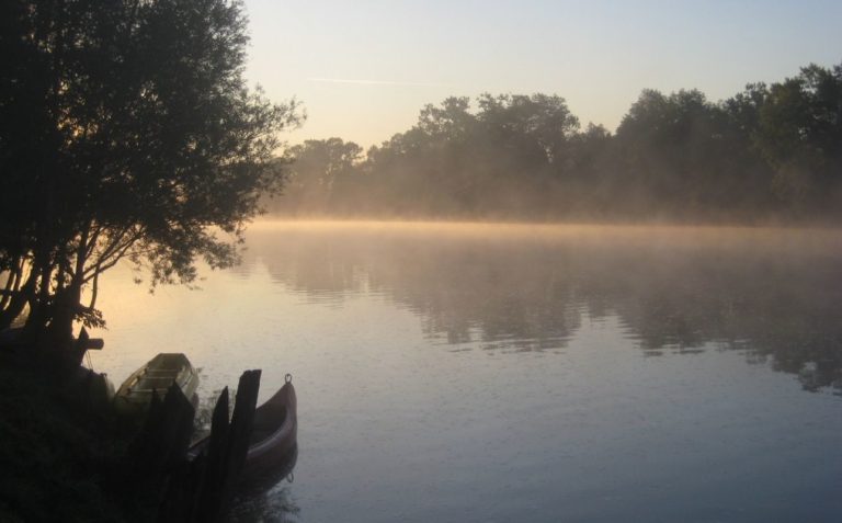 The most common fish you can catch in rivers | biggest, easiest ...